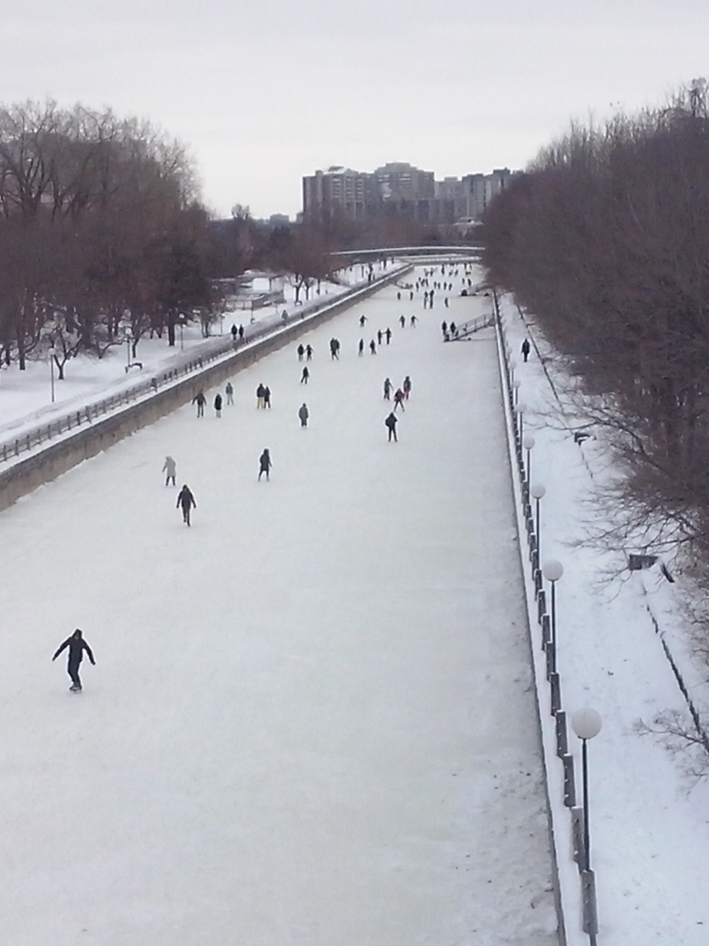 Les copains en Erasmus : direction Ottawa ! | Berthine