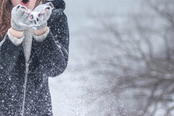 Loupche, auteur/autrice sur Berthine - Page 5 sur 13